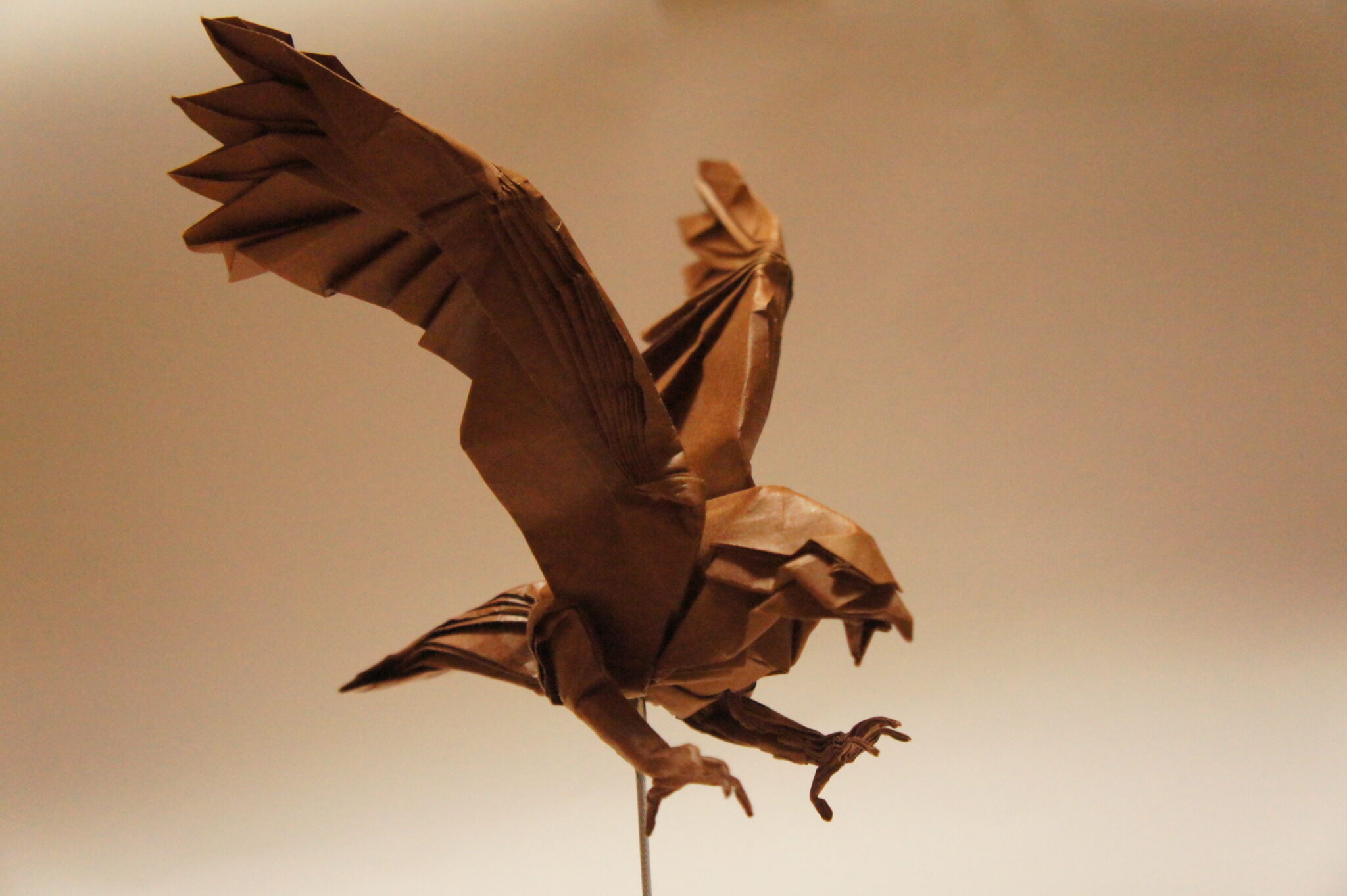 正方形一枚折りの「鷹」 - コーキの折り紙工房 / KoKi Origami Lab