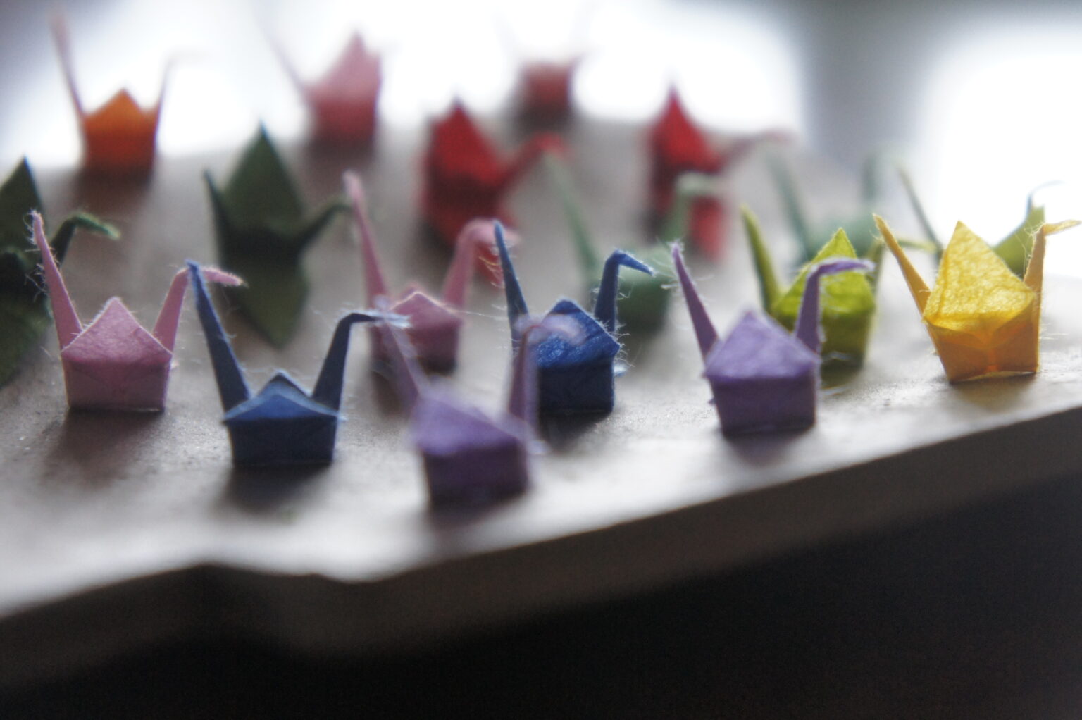 広島三越に出展！ - コーキの折り紙工房 / KoKi Origami Lab