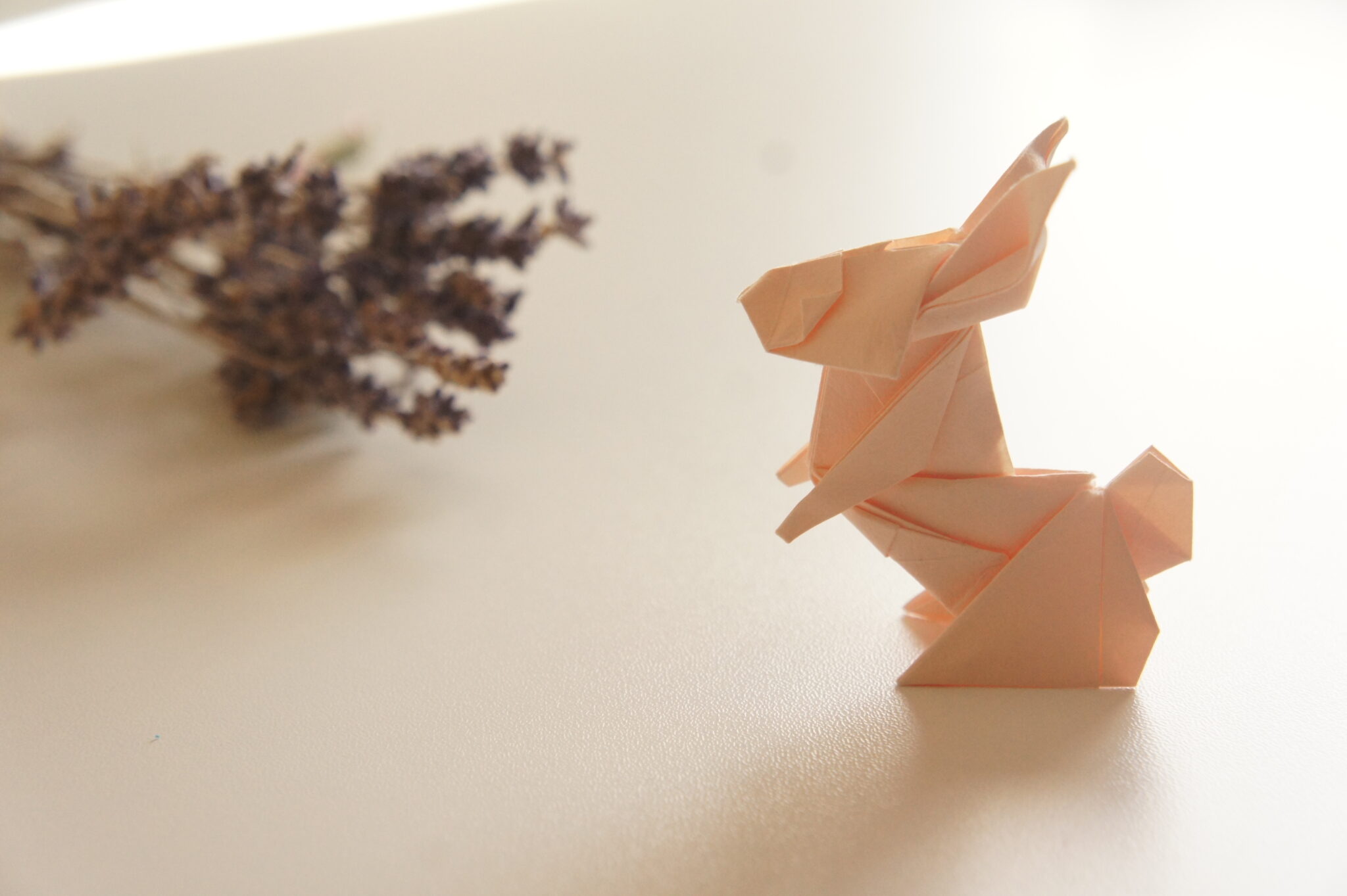 - コーキの折り紙工房 / KoKi Origami Lab